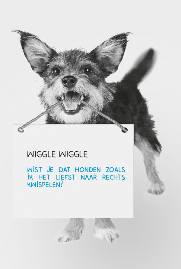 Linkshandig - Uitgeverij Kompas